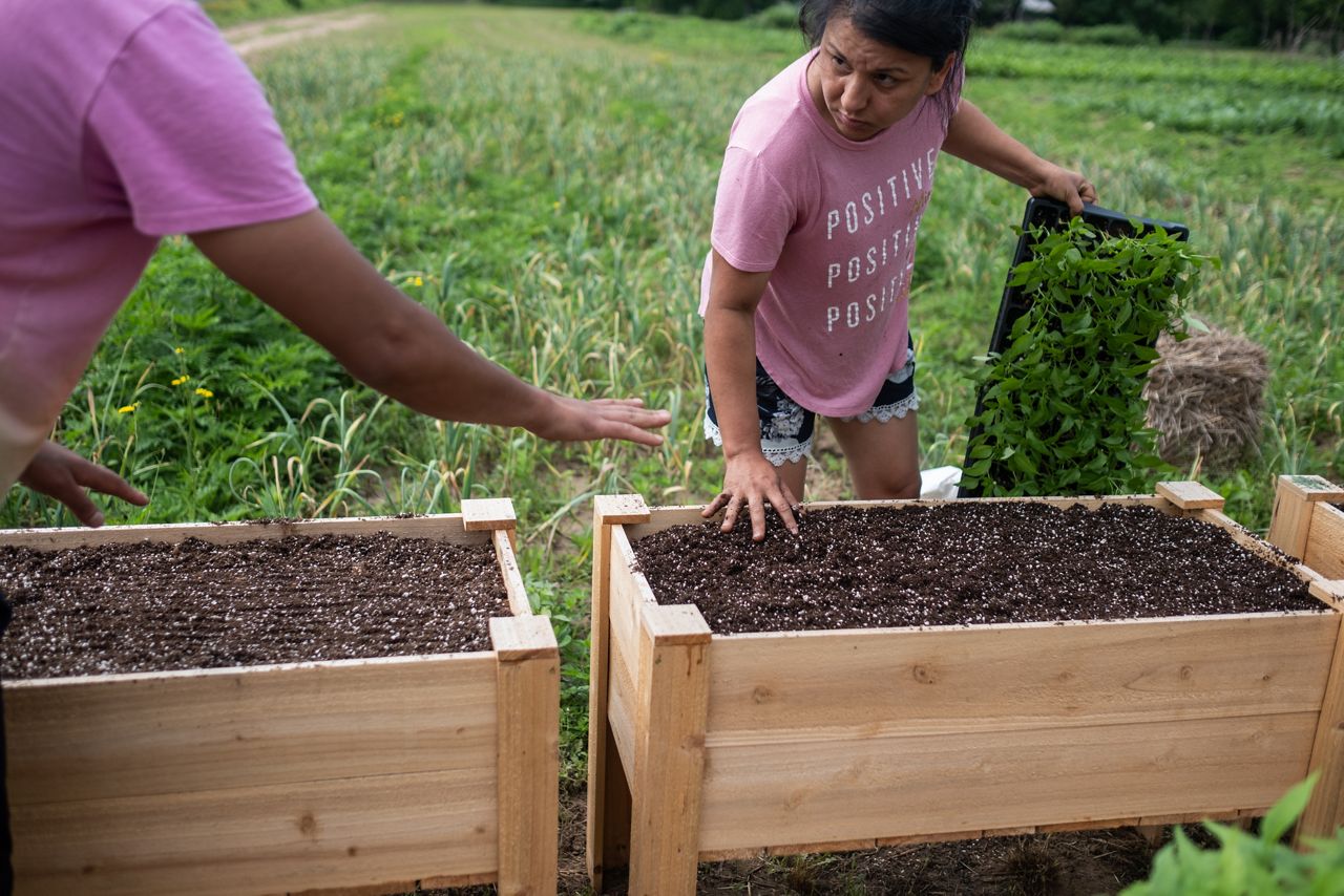 Deaf refugee group looks to cultivate food, life on CNY farm
